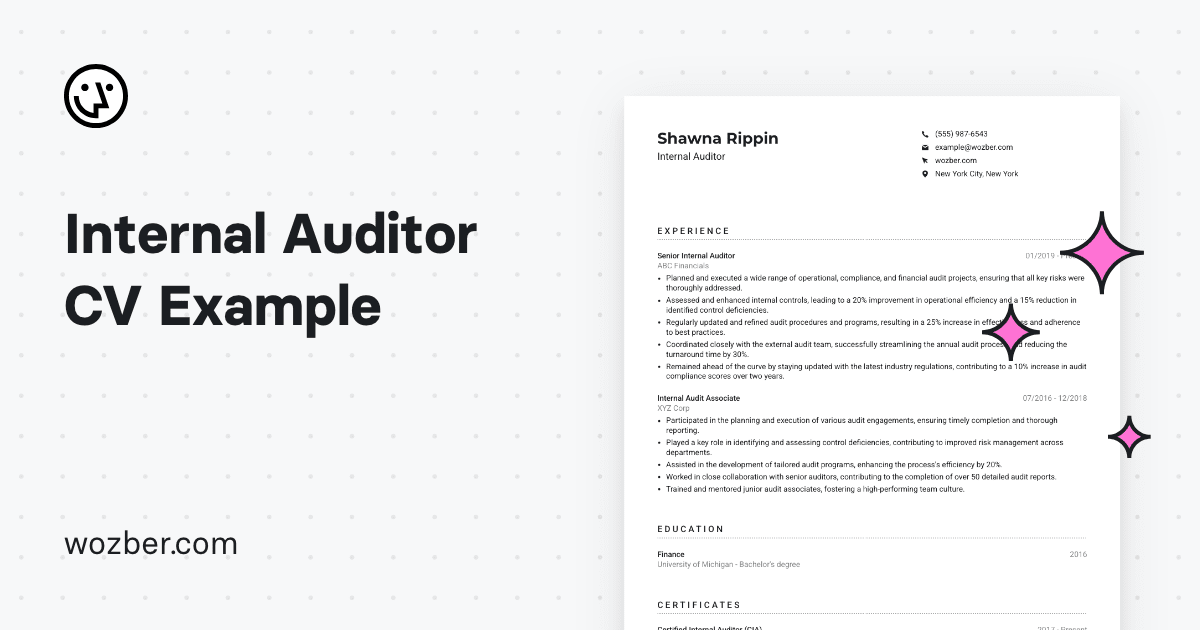 Internal Auditor CV Example