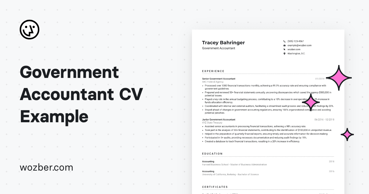 Government Accountant CV Example