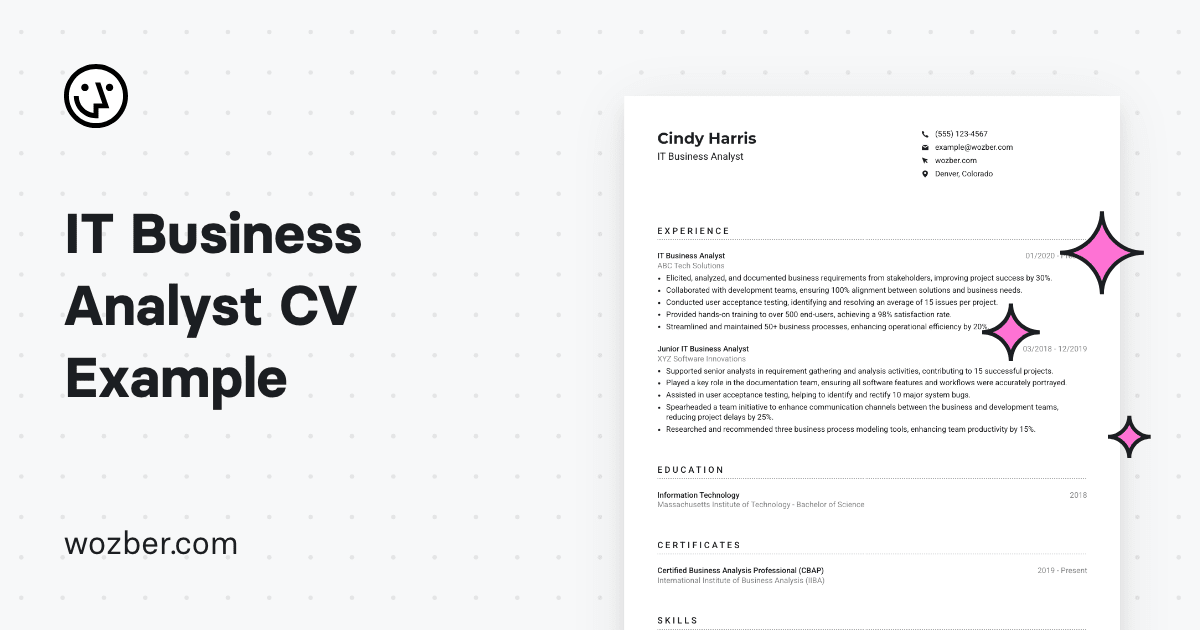 IT Business Analyst CV Example