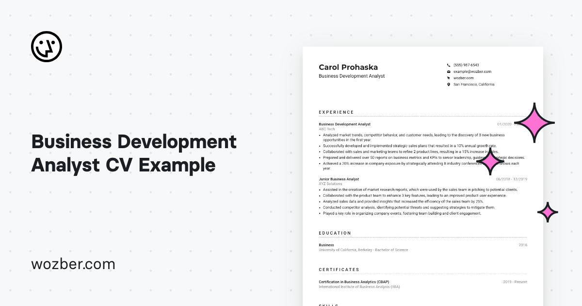 Business Development Analyst CV Example