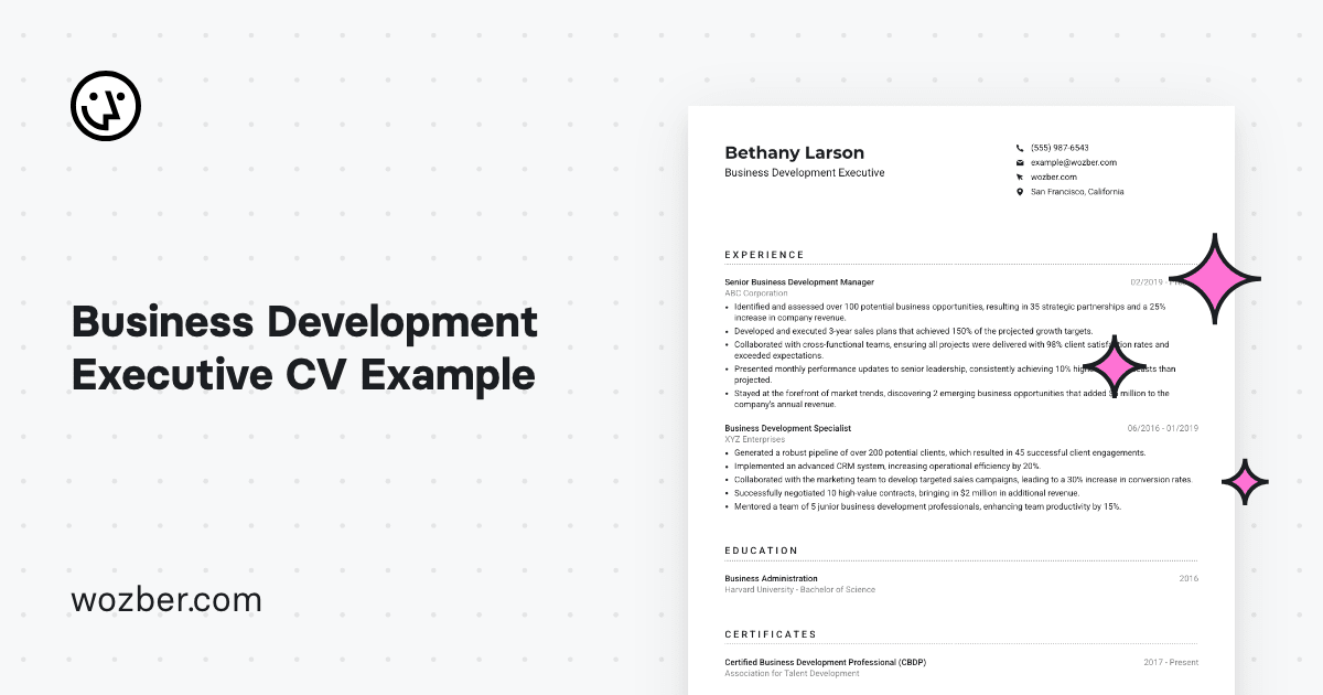 Business Development Executive CV Example