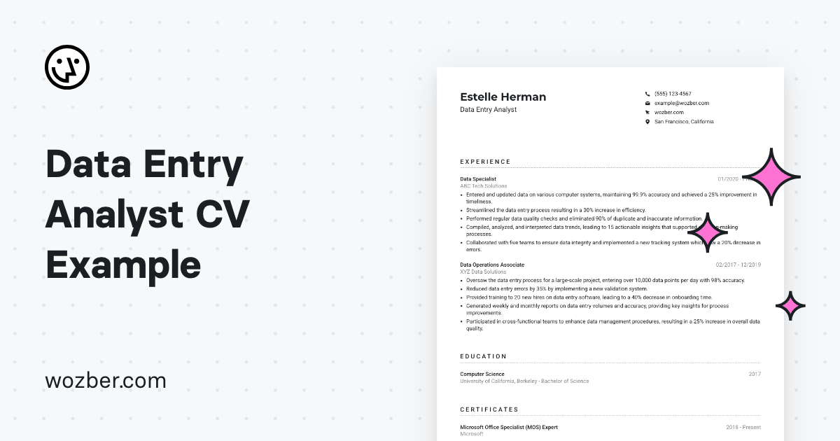 Data Entry Analyst CV Example