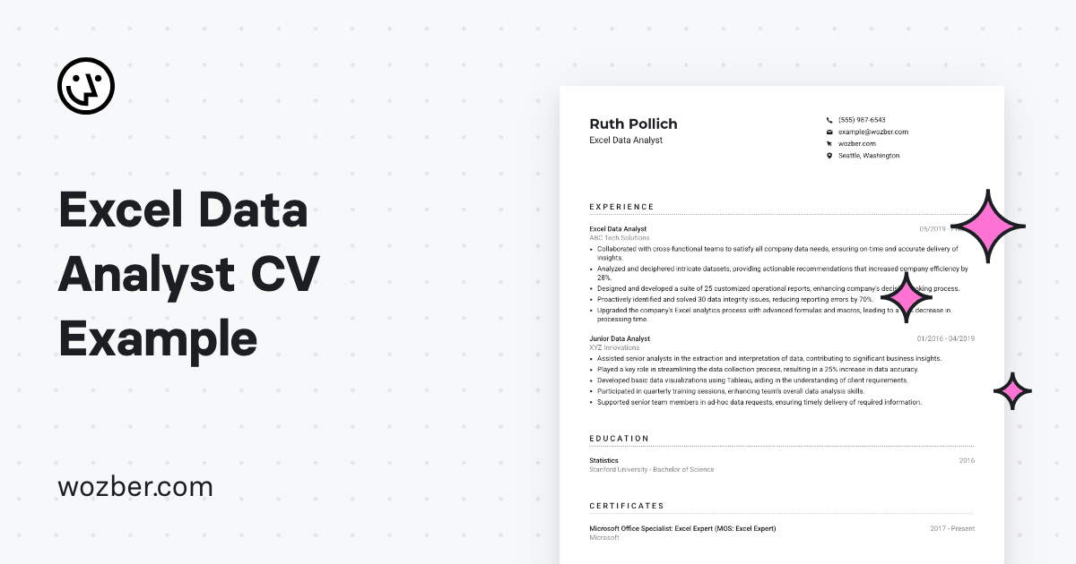 Excel Data Analyst CV Example