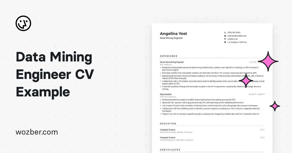 Data Mining Engineer CV Example