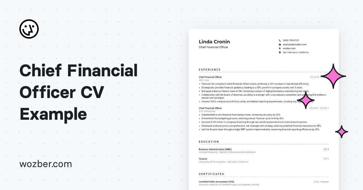 Chief Financial Officer CV Example