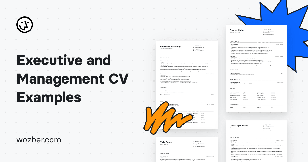48 Executive and Management CV Examples | Wozber