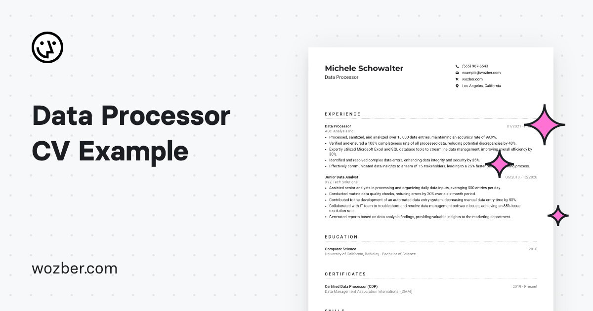 Data Processor CV Example