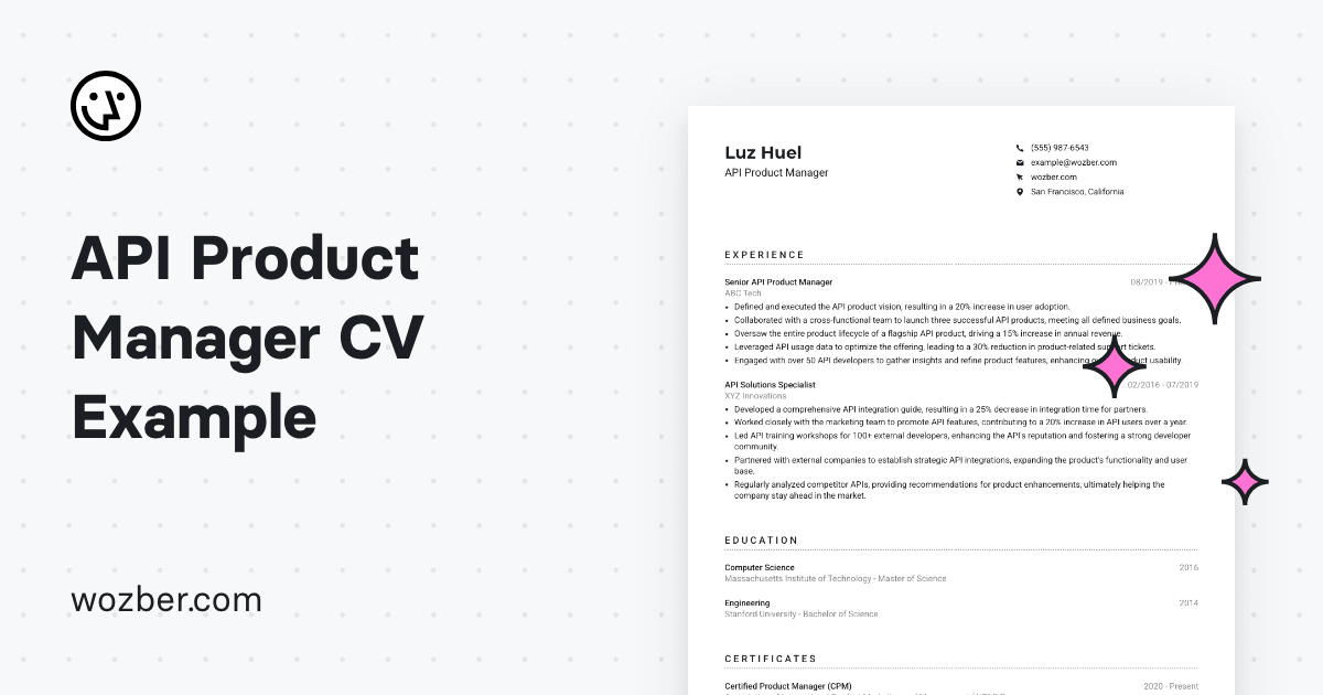 API Product Manager CV Example