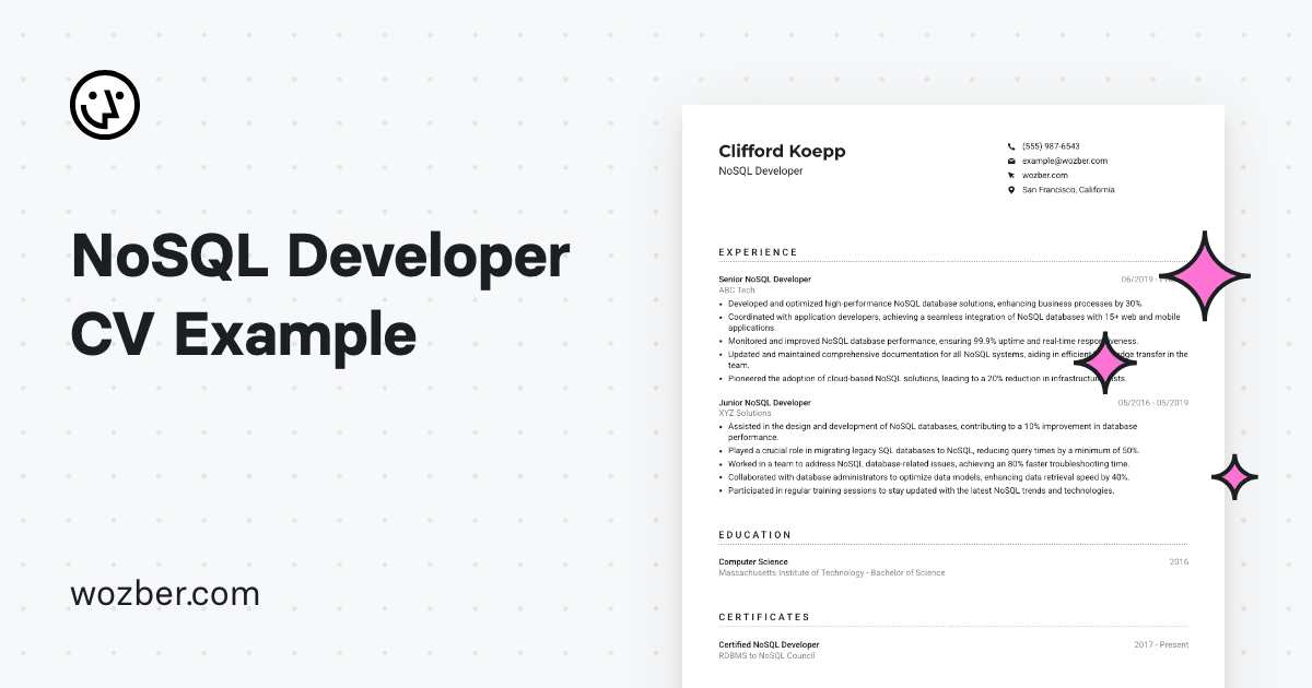 NoSQL Developer CV Example