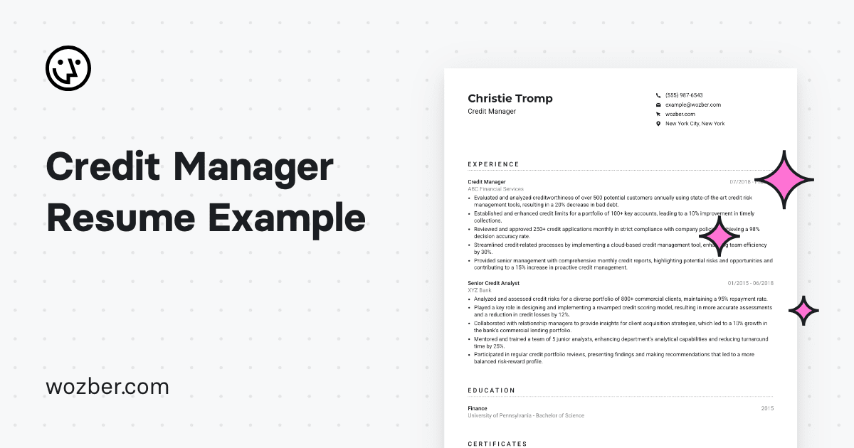 Credit Manager Resume Example