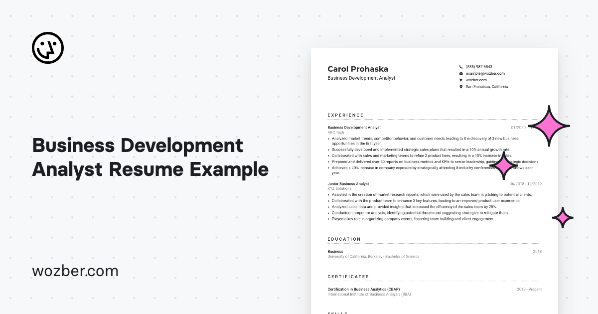 Business Development Analyst Resume Example