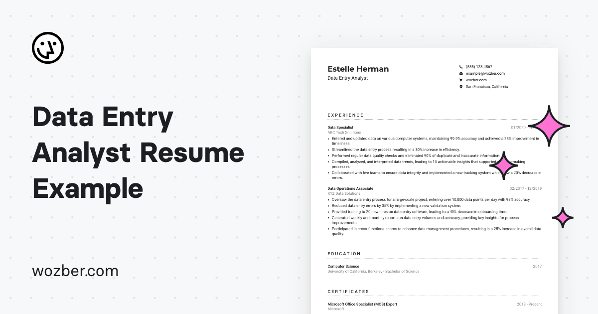 Data Entry Analyst Resume Example
