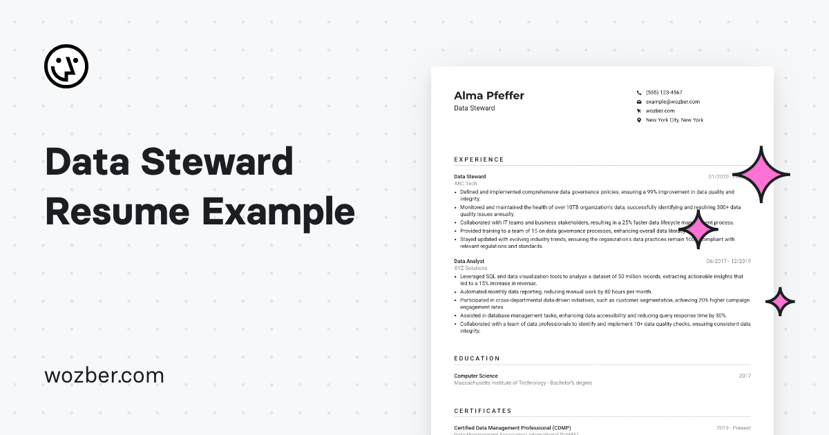 Data Steward Resume Example