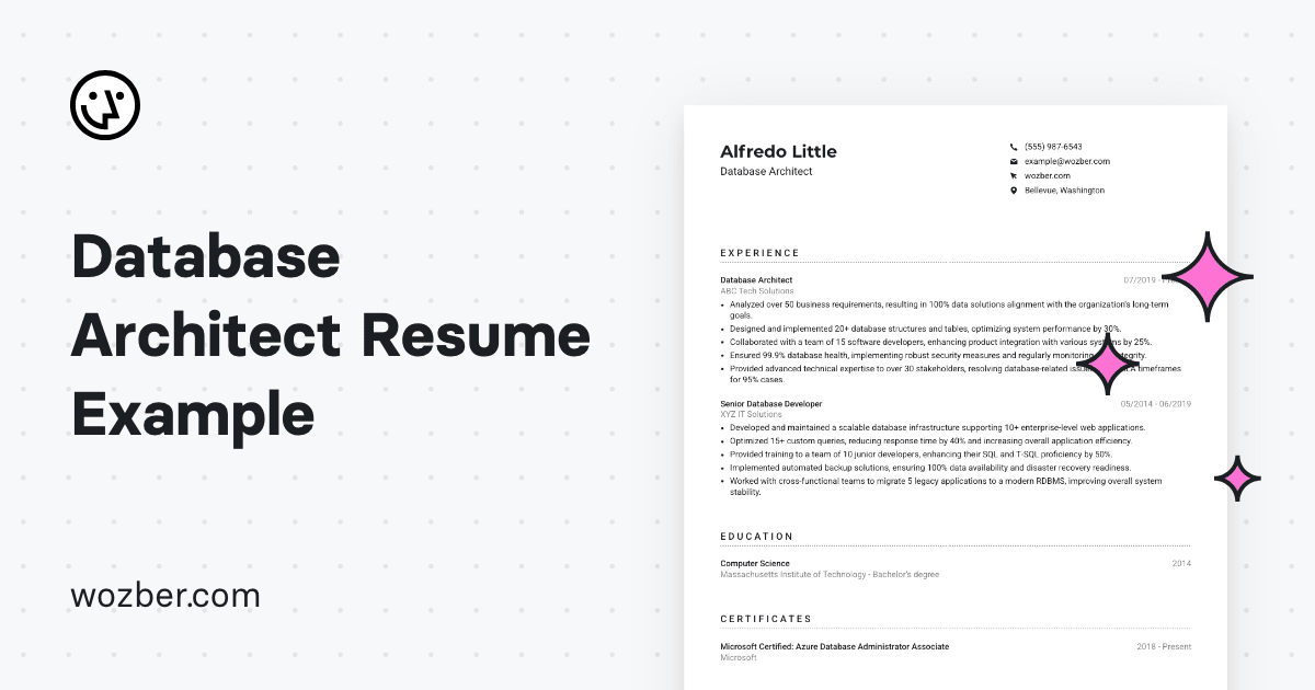 Database Architect Resume Example