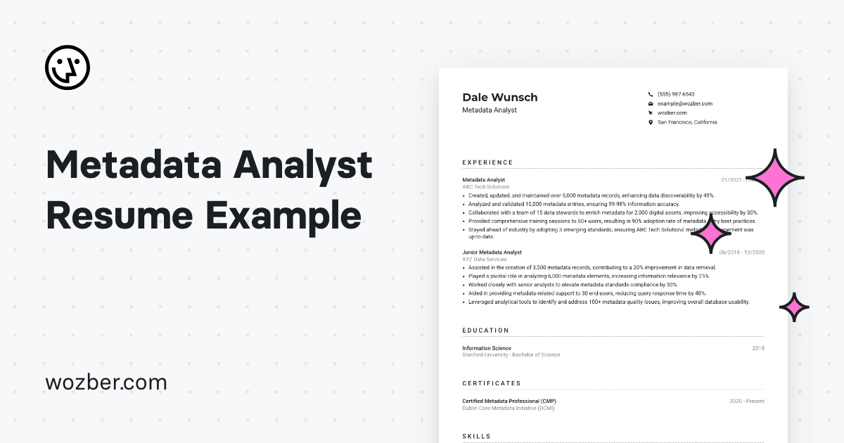Metadata Analyst Resume Example