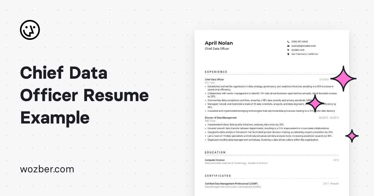 Chief Data Officer CV Example