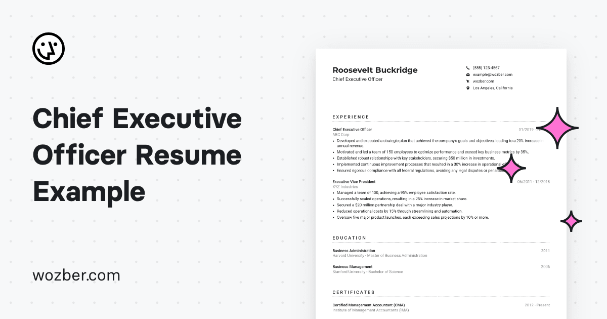 Chief Executive Officer Resume Example Chief Executive Officer Resume Example