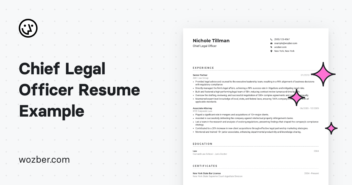 Chief Legal Officer CV Example
