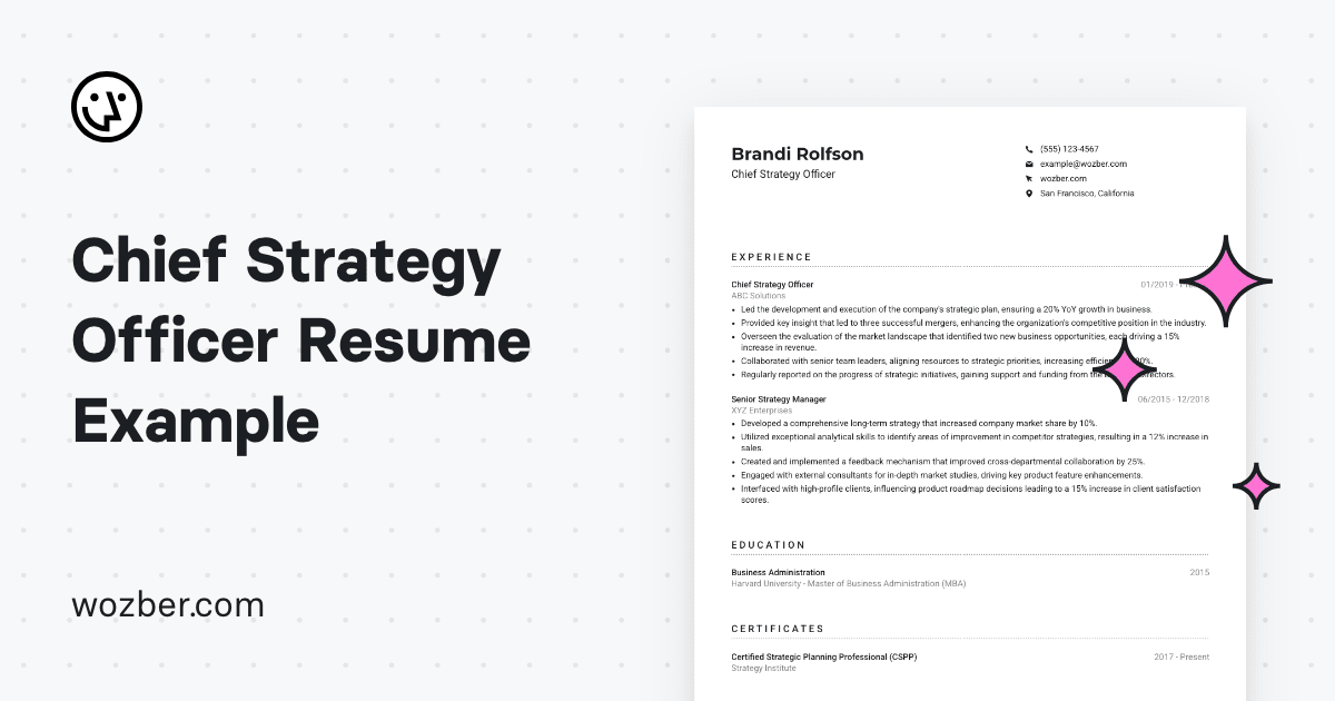 Chief Strategy Officer Resume Example