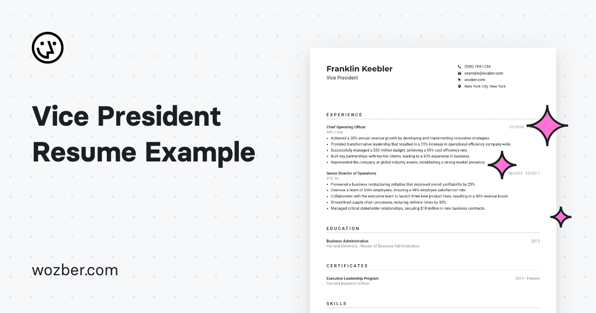 Vice President Resume Example