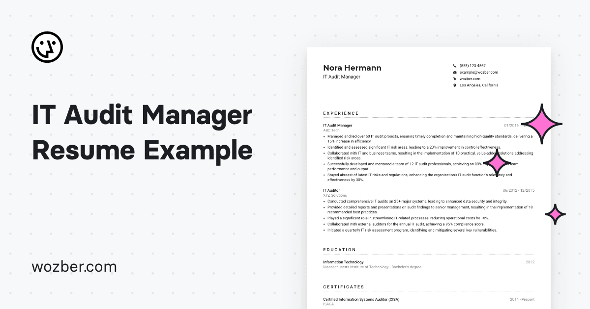 IT Audit Manager Resume Example