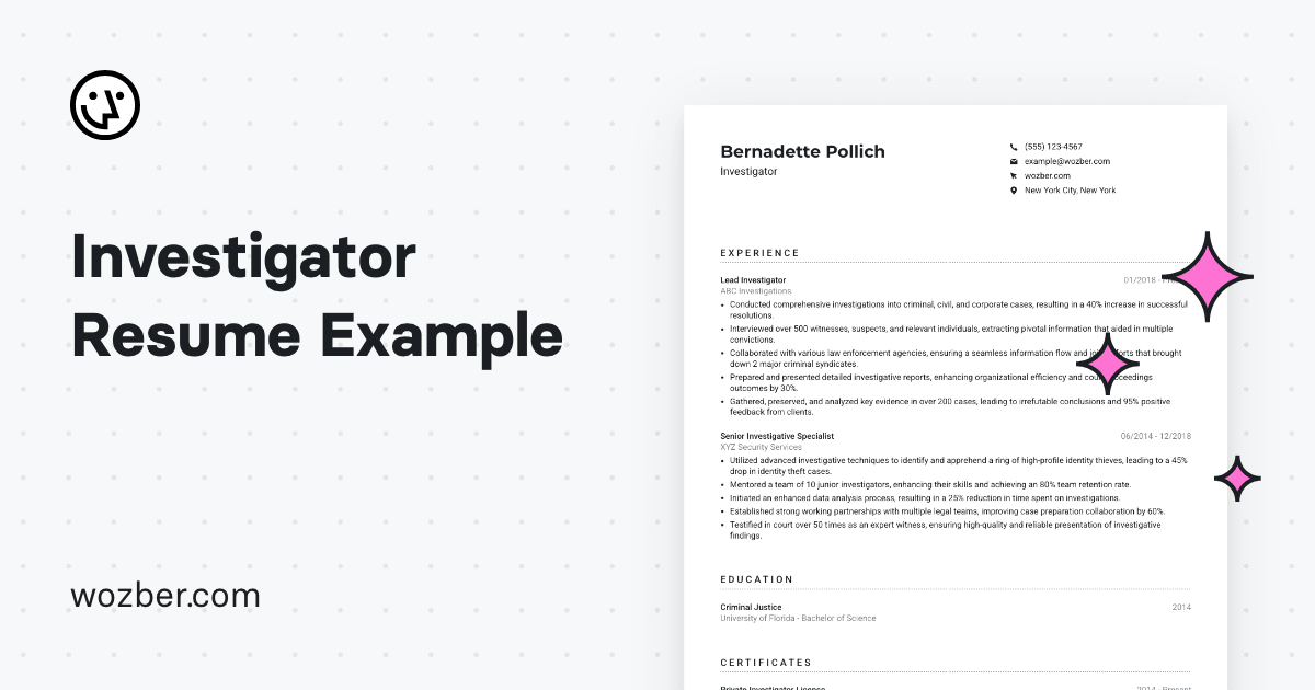 Investigator Resume Example