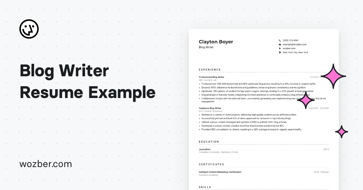 Blog Writer CV Example