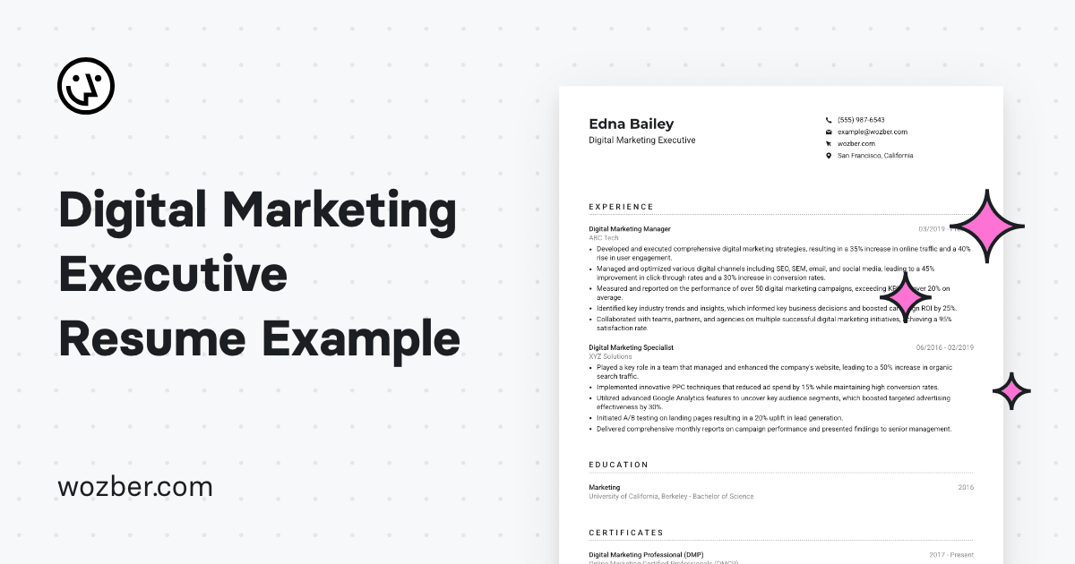 Digital Marketing Executive Resume Example