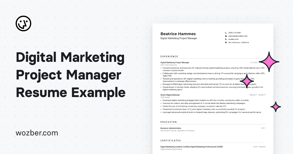 Digital Marketing Project Manager Resume Example