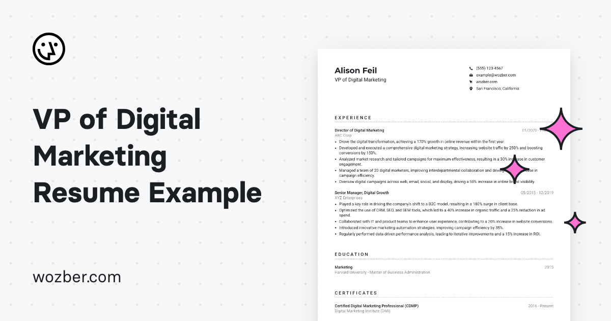 VP of Digital Marketing CV Example