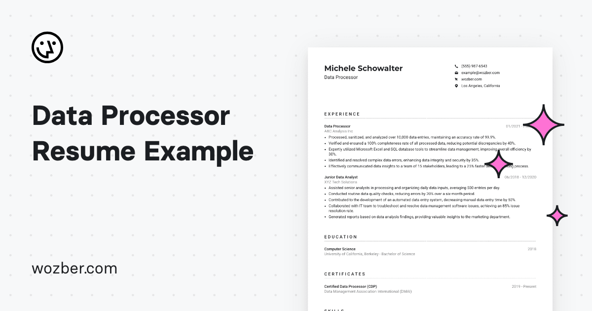 Data Processor Resume Example