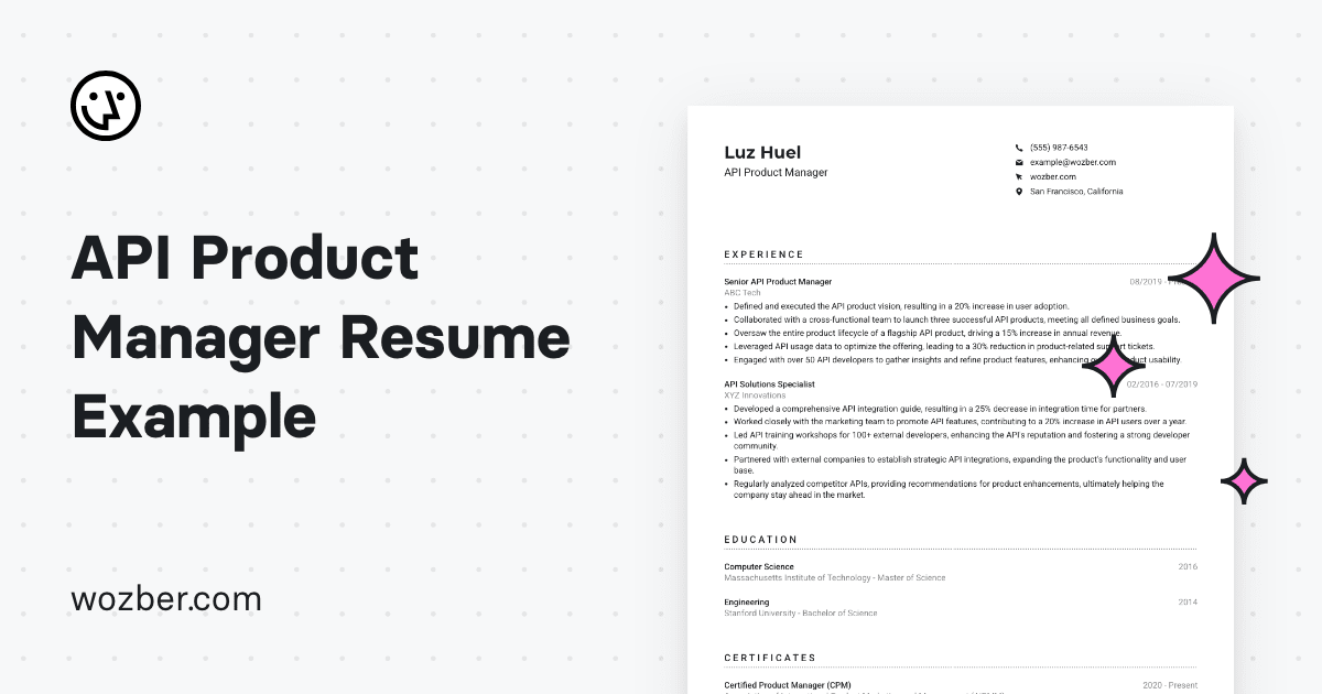 API Product Manager Resume Example