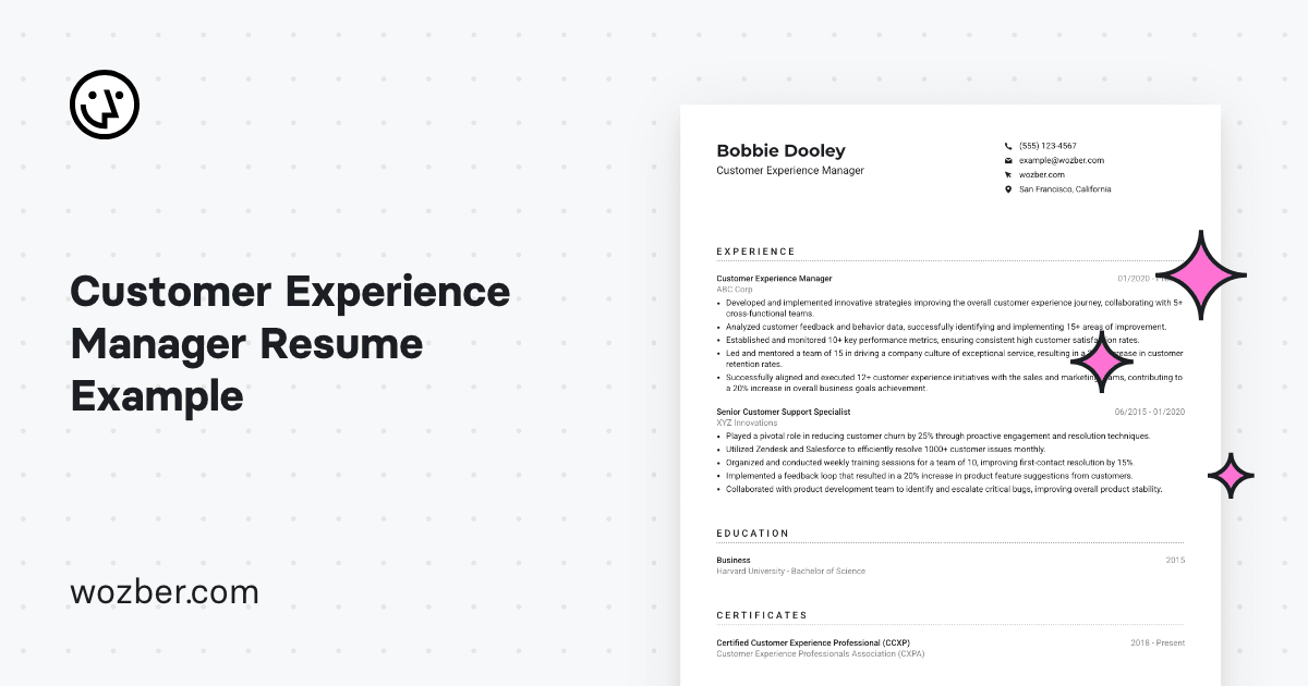 Customer Experience Manager Resume Example
