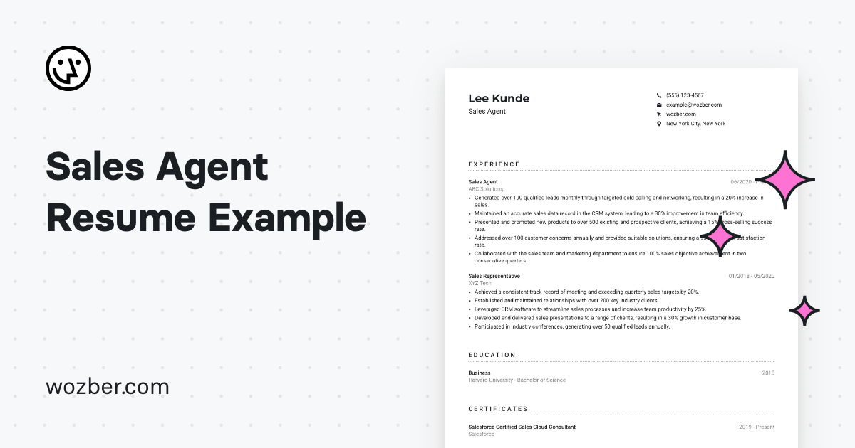 Sales Agent Resume Example
