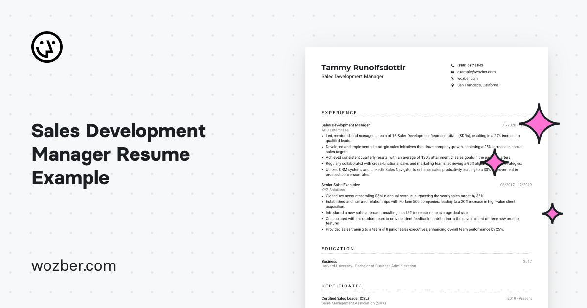 Sales Development Manager Resume Example