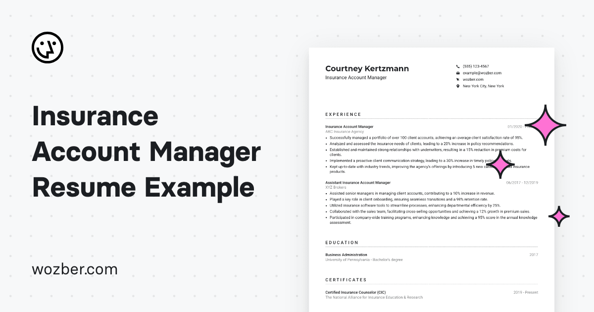 Insurance Account Manager Resume Example