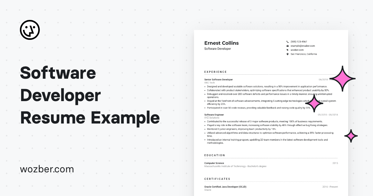 Software Developer Resume Example