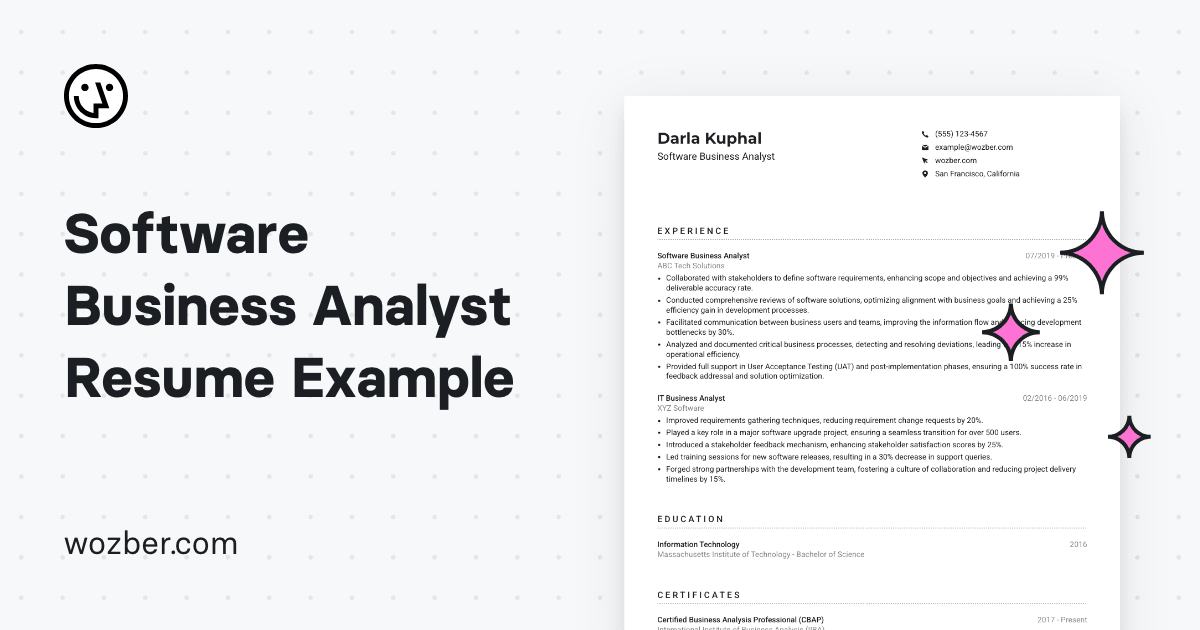 Software Business Analyst Resume Example